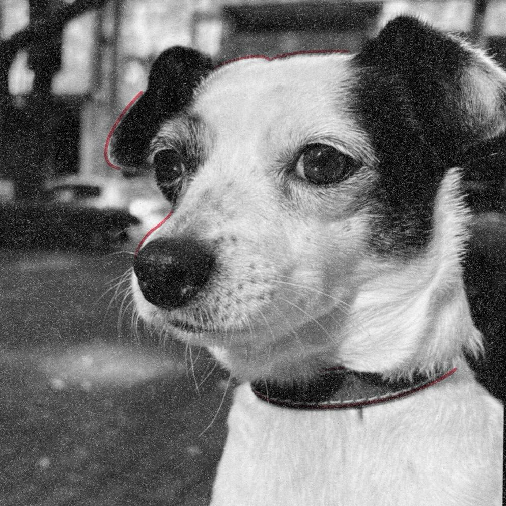 [Poema] Amar a Margo – Fausto Vela